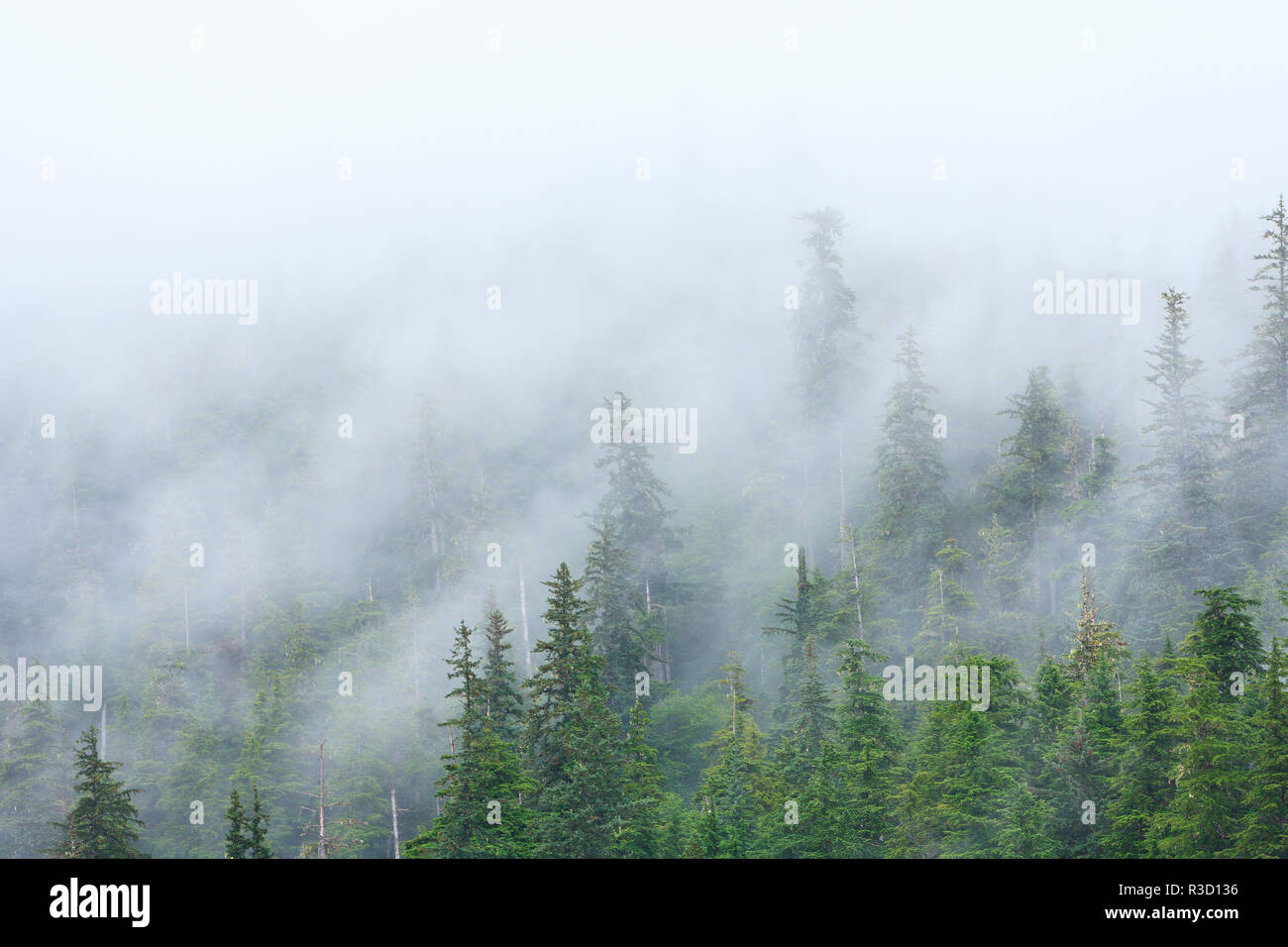 Stuart Spruce High Resolution Stock Photography and Images - Alamy