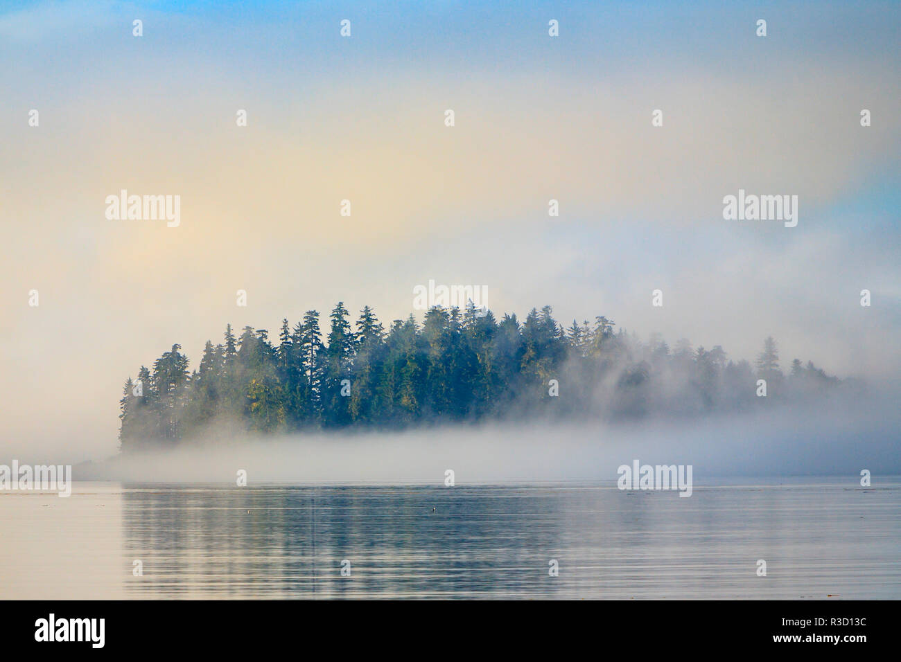 Foggy Islands with Spruce Trees near Pybus Bay, Inside Passage, Alaska ...