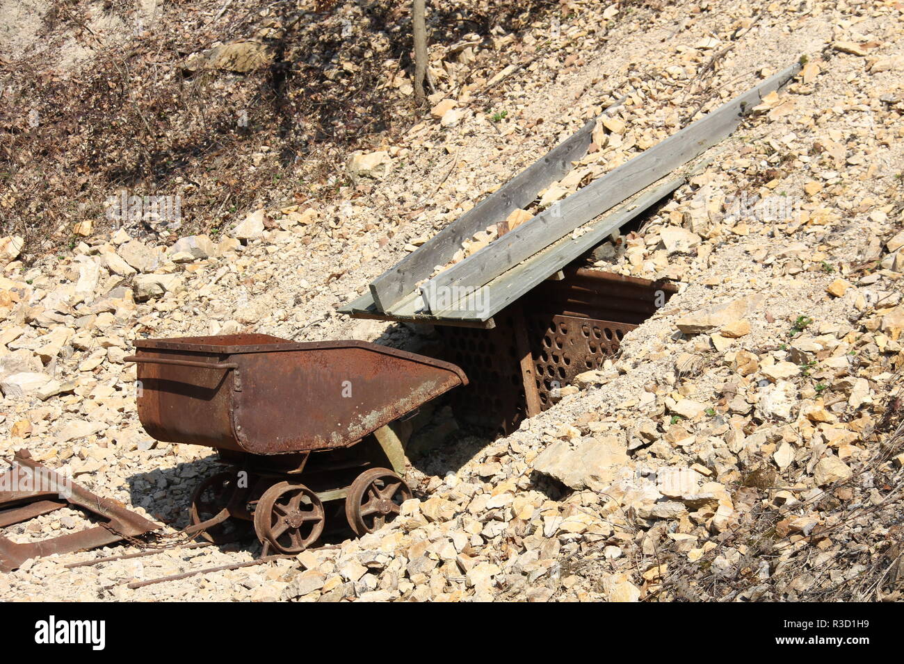 Dog transport hi-res stock photography and images - Alamy