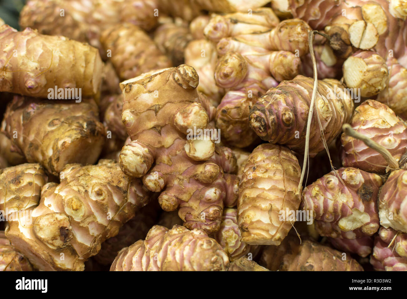 Alpinia galanga root or laos, herb used in Southern Asia cuisine and ...