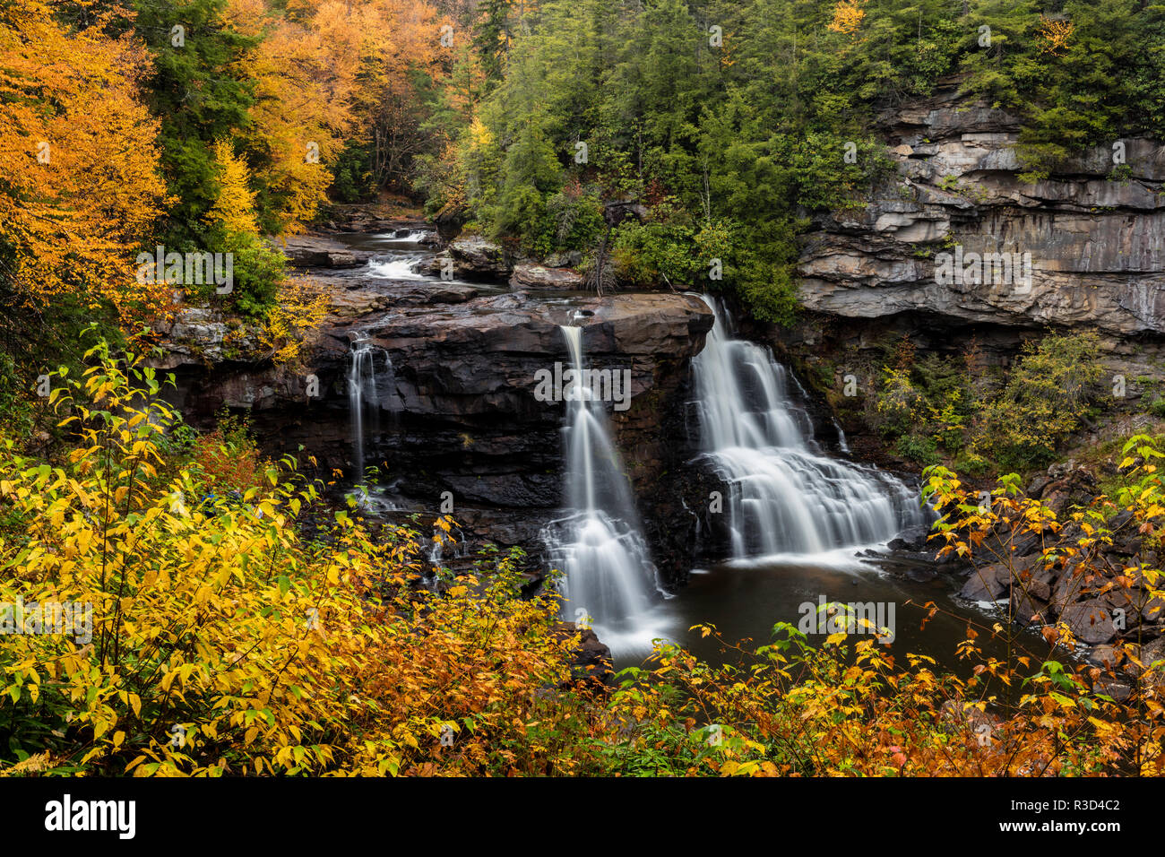 Blackwater Falls in autumn in Blackwater Falls State Park in Davis ...