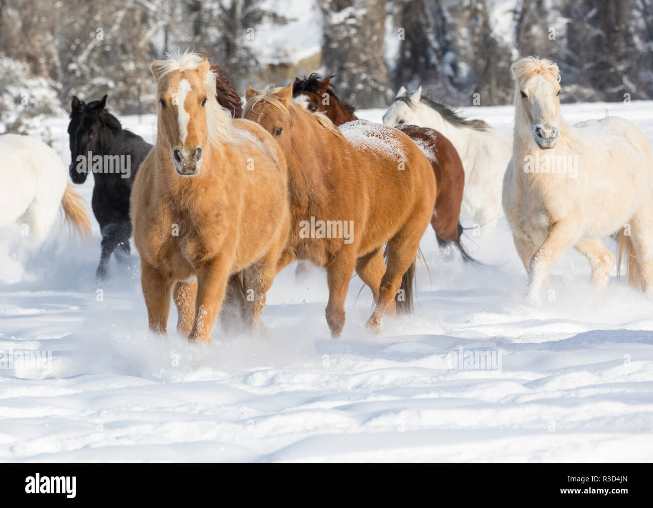 Hideout ranch hi-res stock photography and images - Alamy