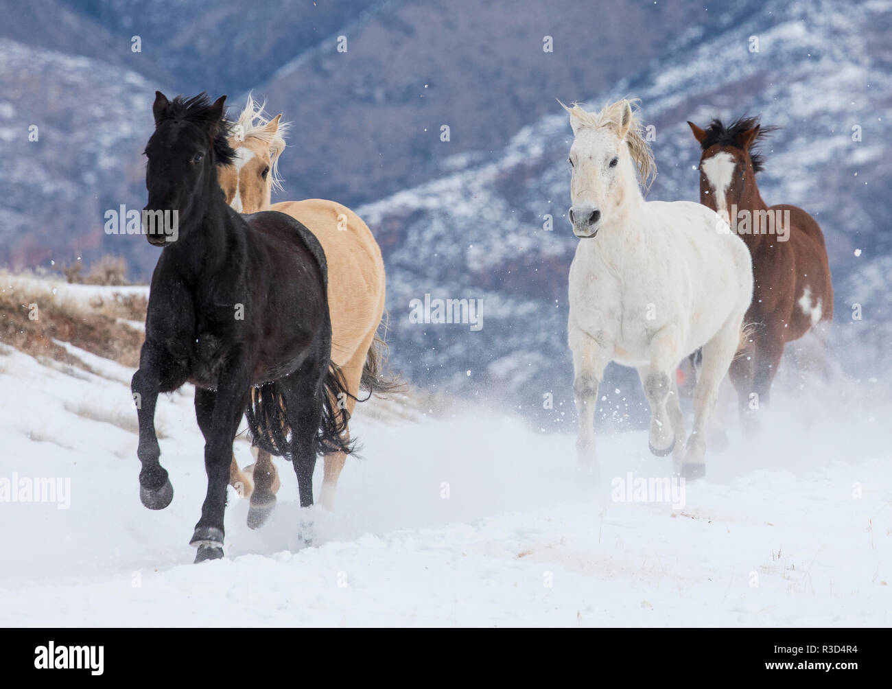 Hideout Ranch High Resolution Stock Photography and Images - Alamy