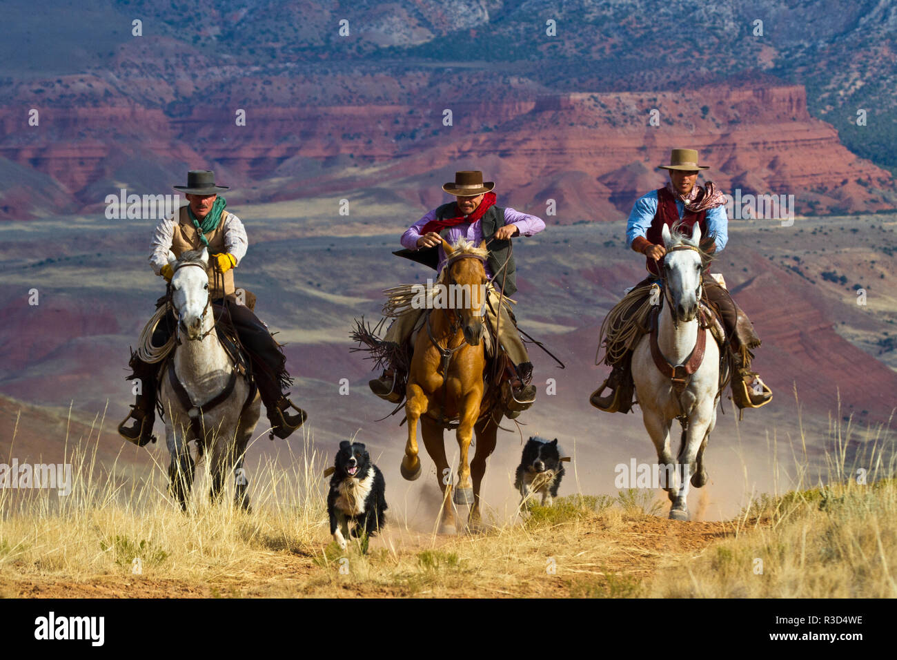 Usa, Wyoming, Shell, The Hideout Ranch, Cowboys Riding on Horseback at ...