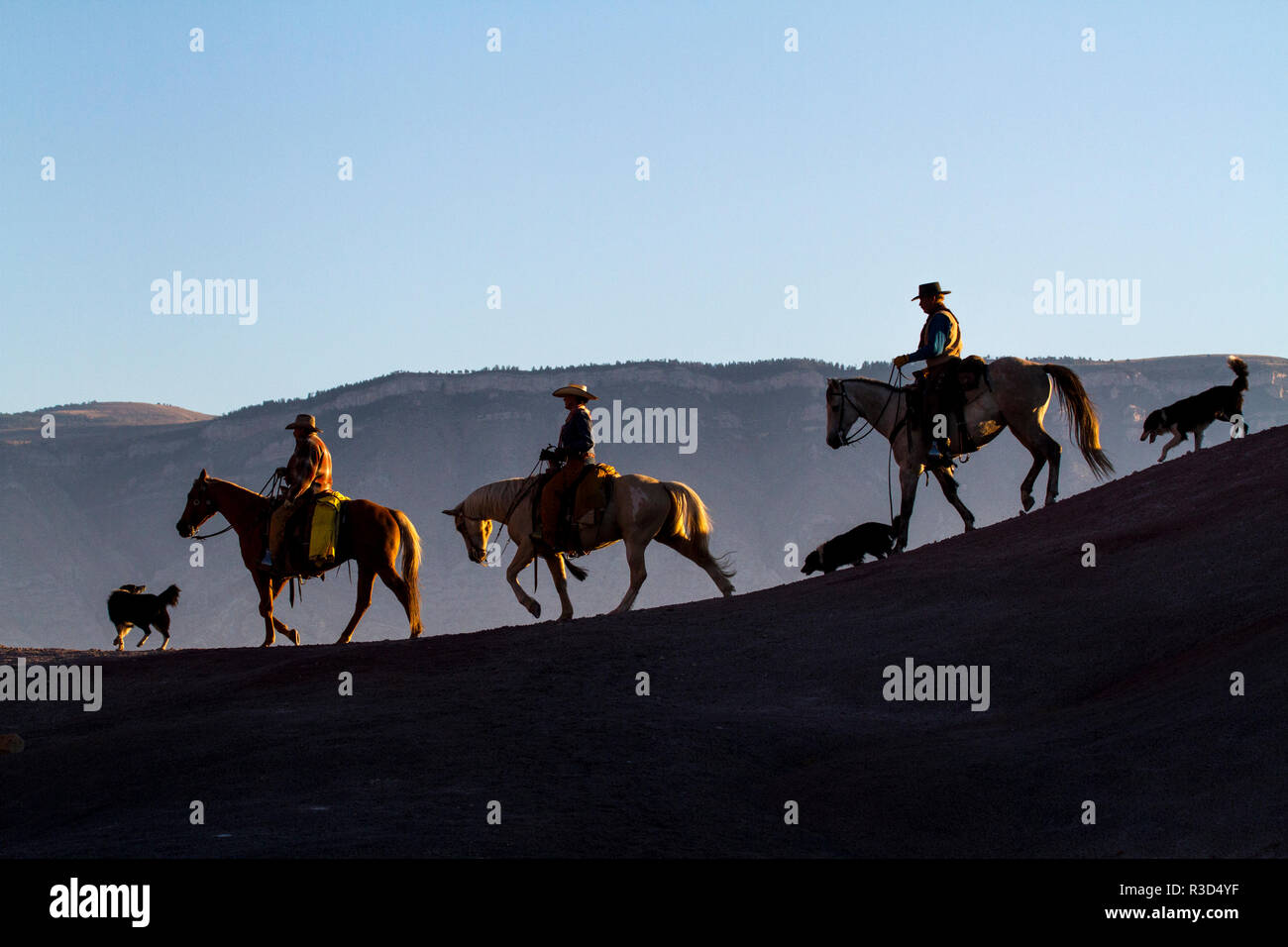 Three cowboys on horseback hi-res stock photography and images - Alamy
