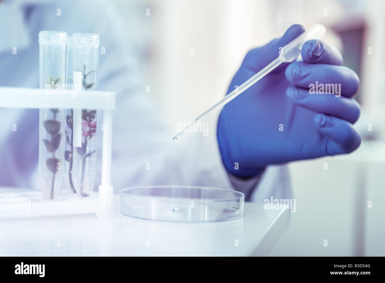 Study biology. Professional worker using medical instrument while ...