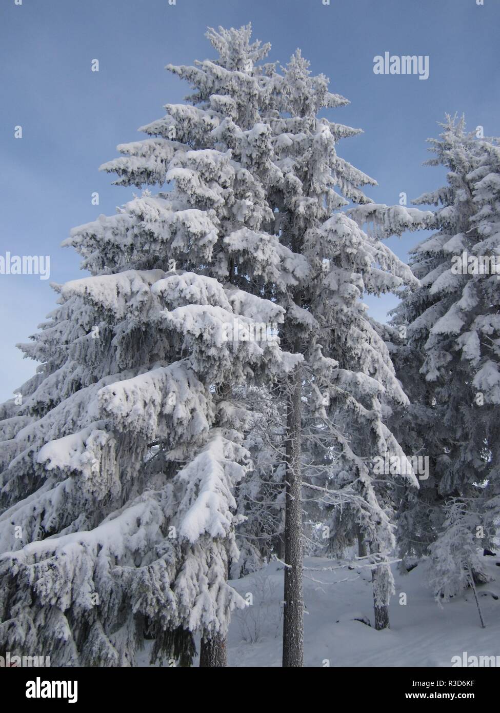 Ice load hi-res stock photography and images - Alamy