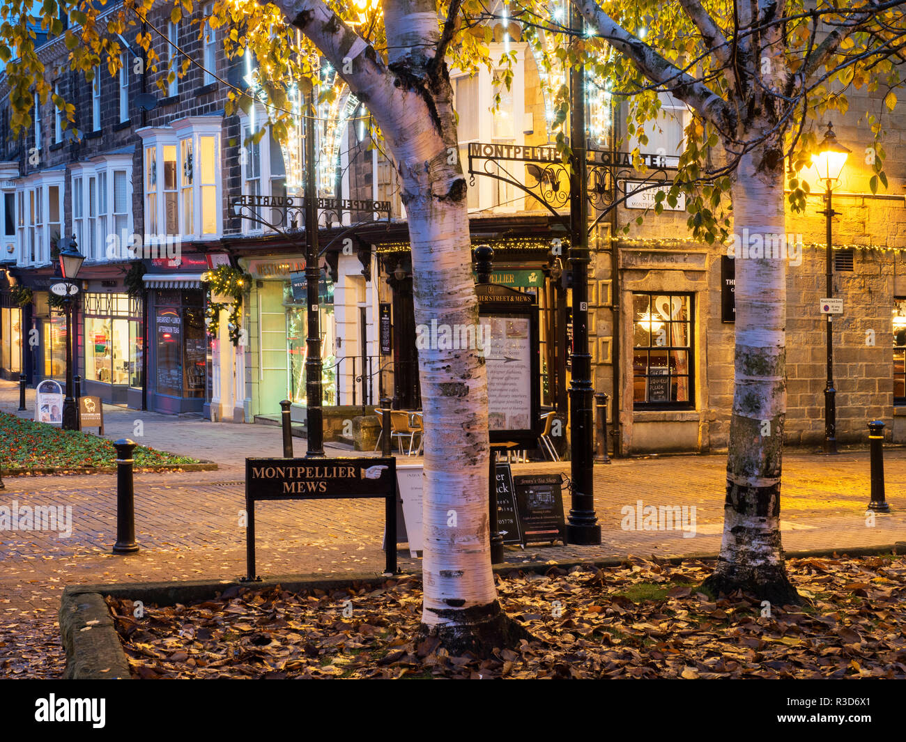 Autumn trees in the Montpellier Quarter at dusk Harrogate North ...