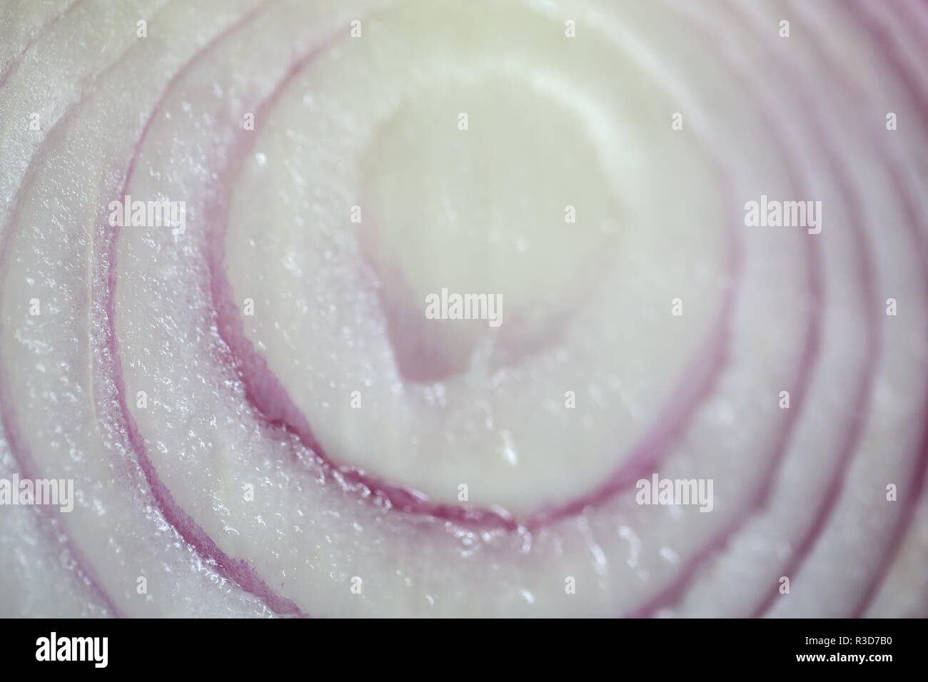 Cross section onion root hi-res stock photography and images - Alamy