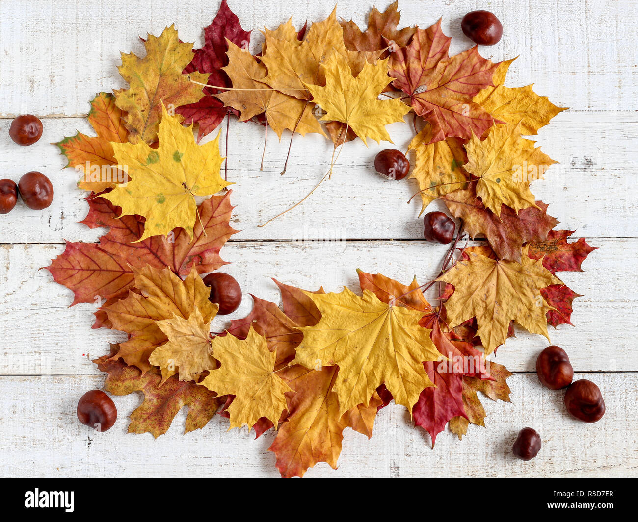 Autumn leaves in circle frame hi-res stock photography and images - Alamy