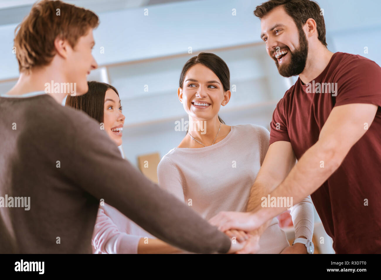 Budding startup. Low angle of joyful four colleagues choking and ...