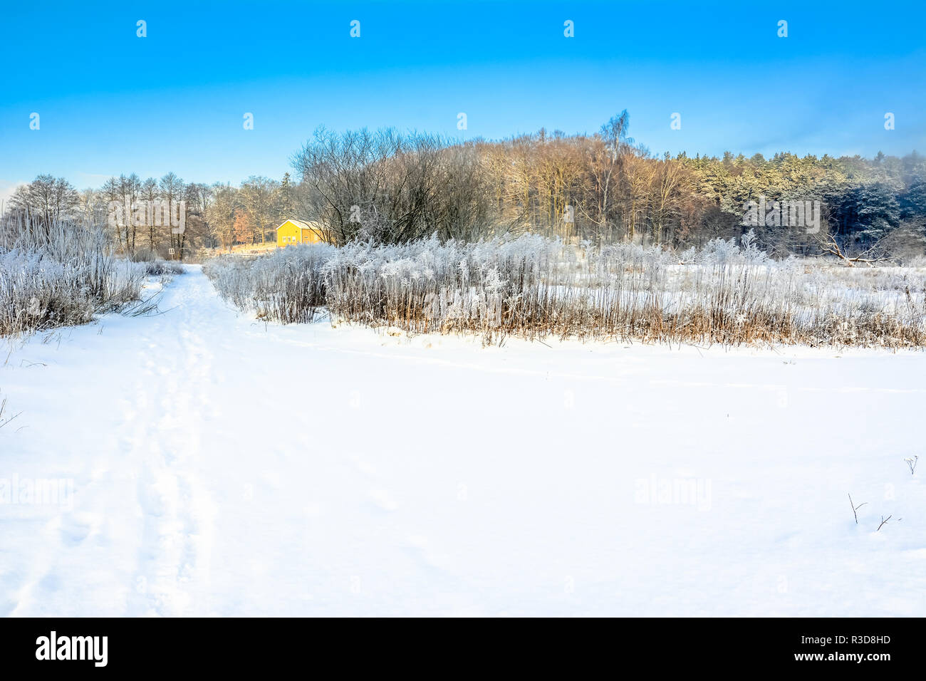 Magical winter landscape with snow on road in countryside and blue sky ...