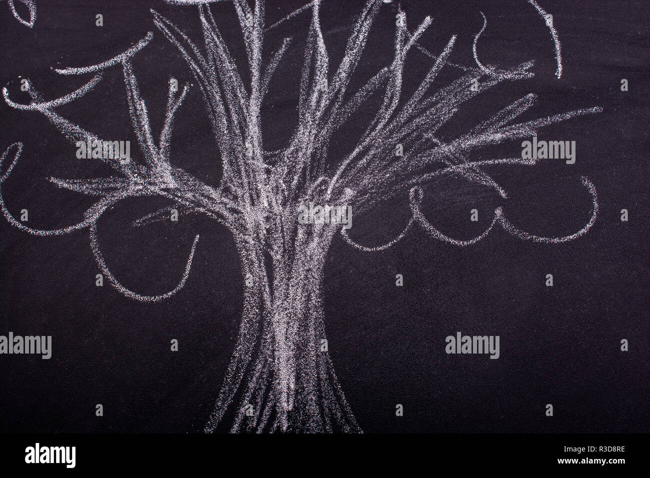 Hand drawing of tree with chalk on a blackboard Stock Photo - Alamy