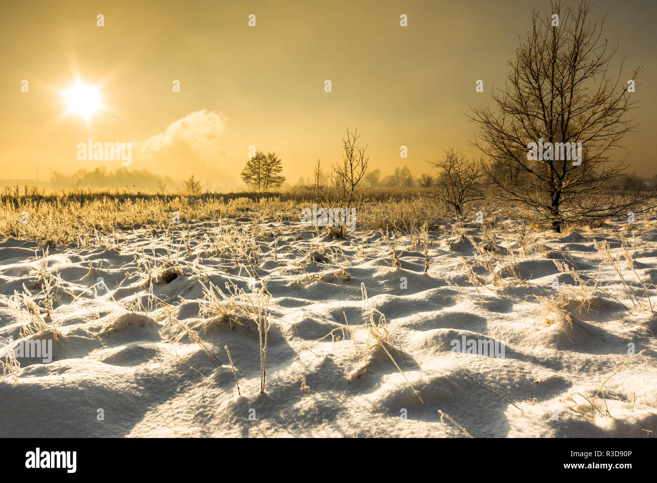 Magical winter landscape with snow in countryside, sun and blue sky ...