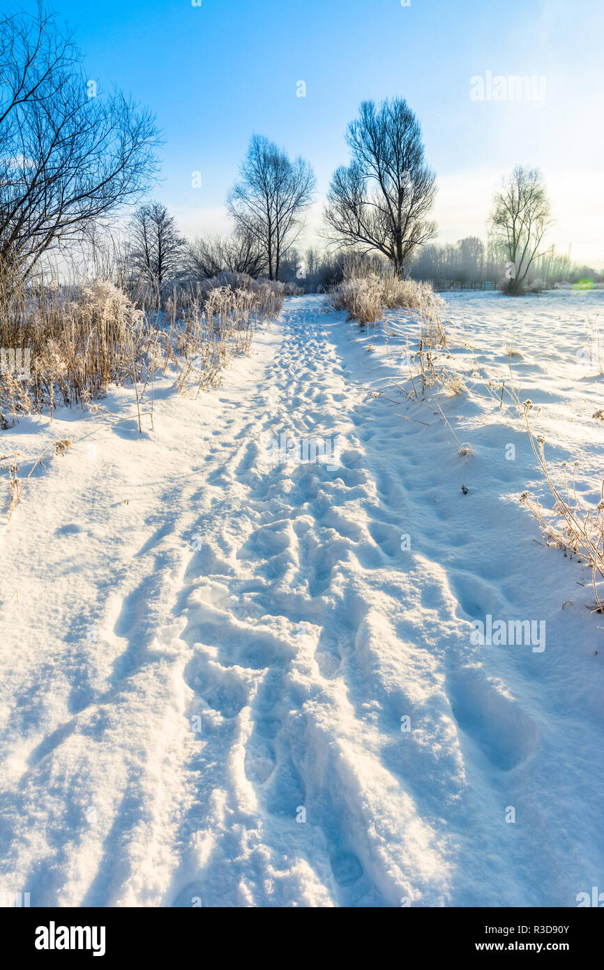 Magical winter landscape with snow in countryside, sun and blue sky ...