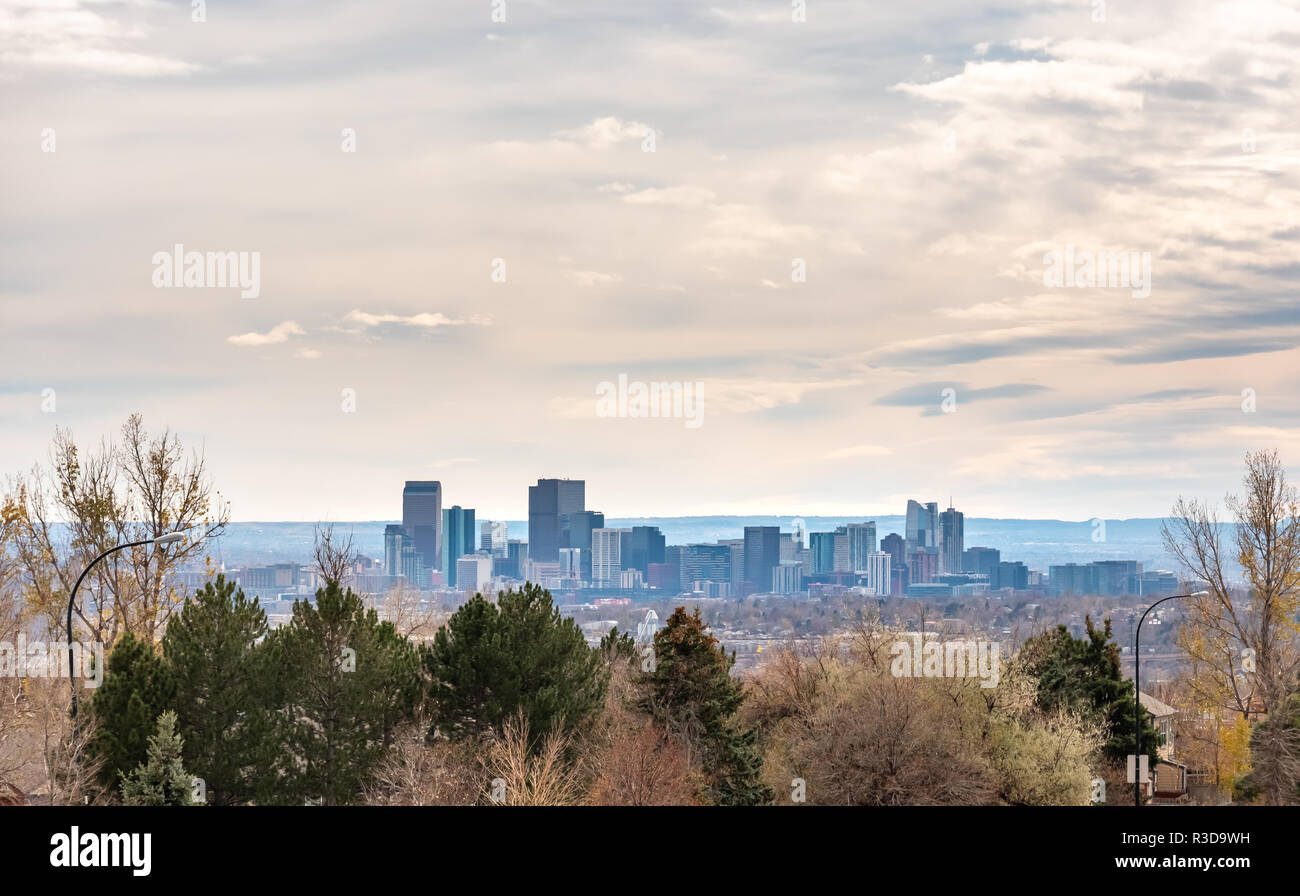 View of Downtown Denver Through Residential Area Trees Stock Photo - Alamy