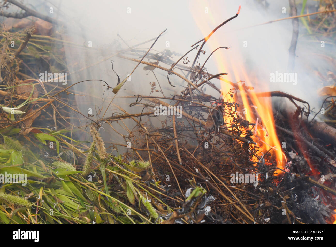 Burning dry grass with smoke Stock Photo - Alamy