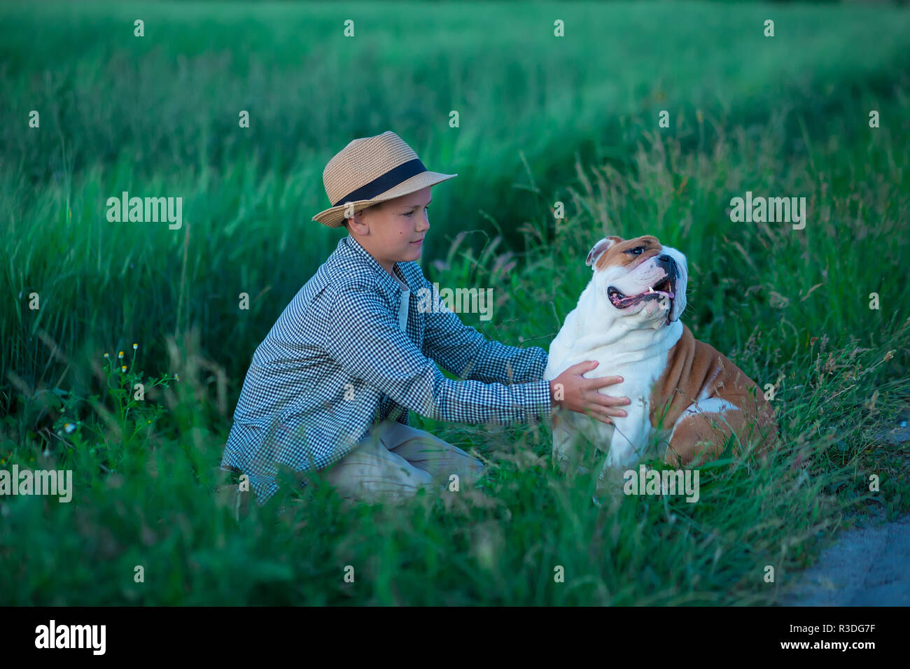 Little boy sitting standing with his english bull dog on the meadow of ...
