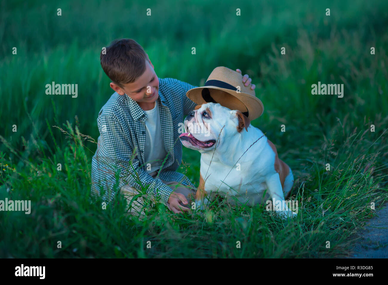 Little boy sitting standing with his english bull dog on the meadow of ...