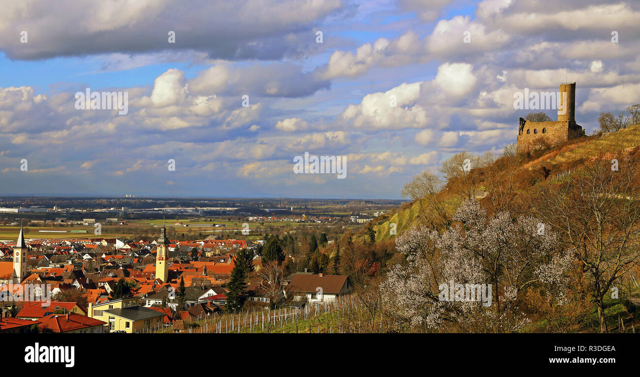 panoramic schriesheim and strahlenburg Stock Photo - Alamy