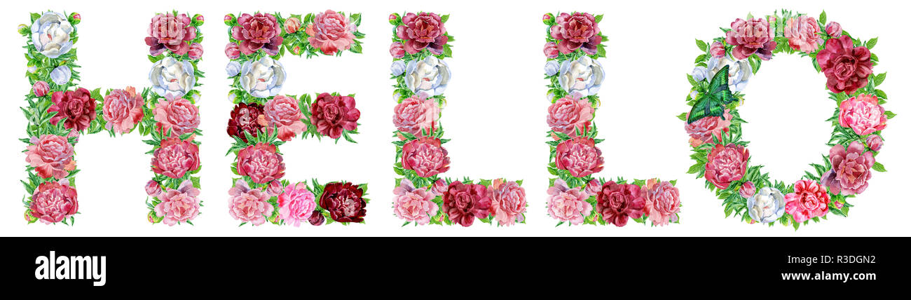 Word HELLO of watercolor flowers, isolated hand drawn on a white ...