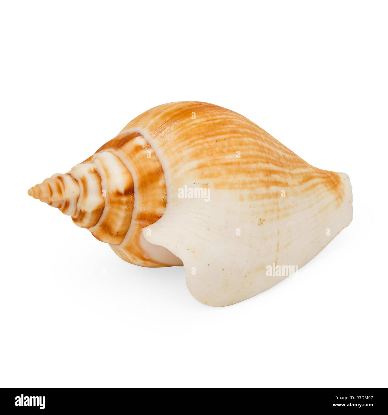 Straight on angle hi-res stock photography and images - Alamy