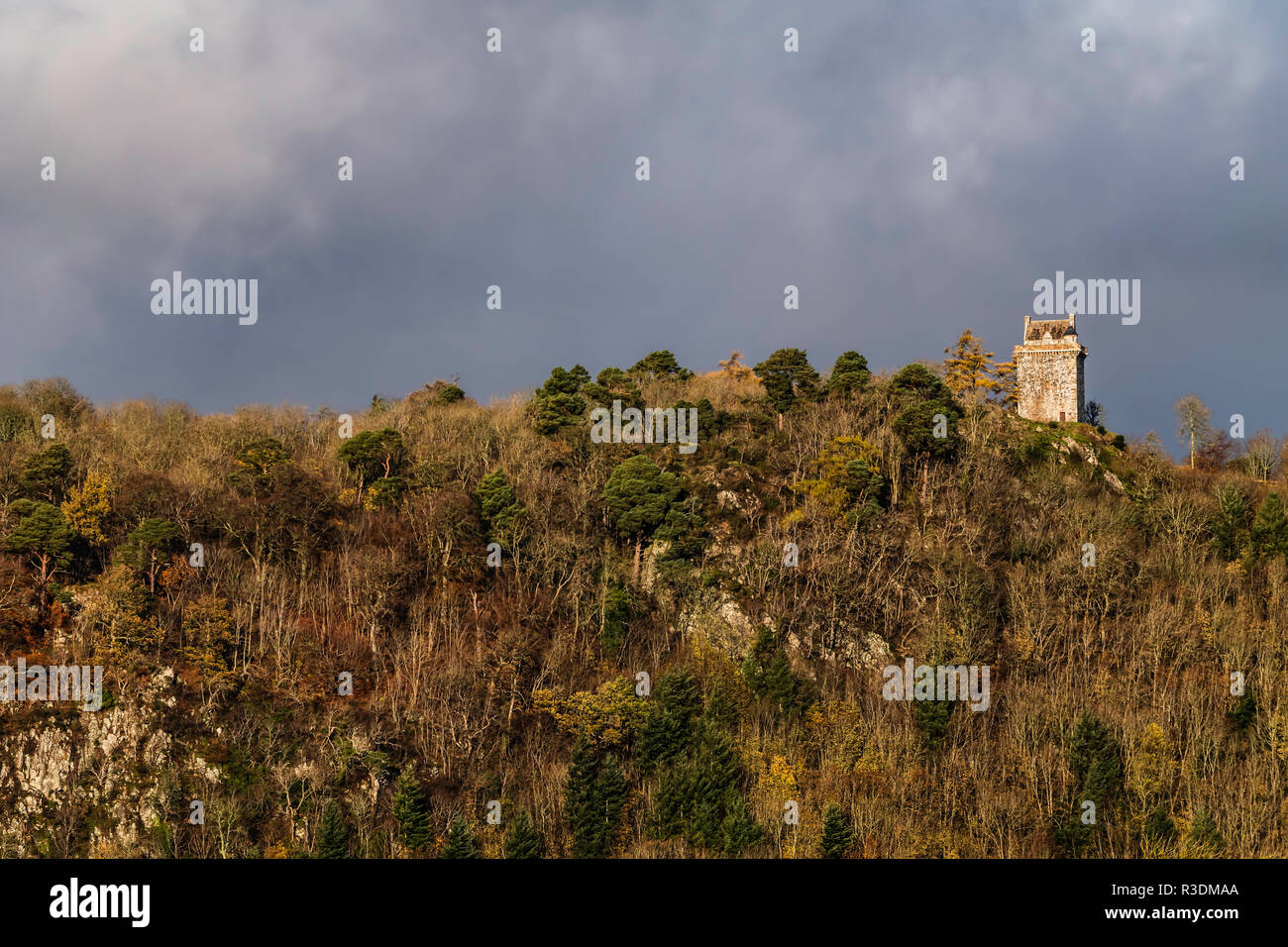 Minto High Resolution Stock Photography and Images - Alamy