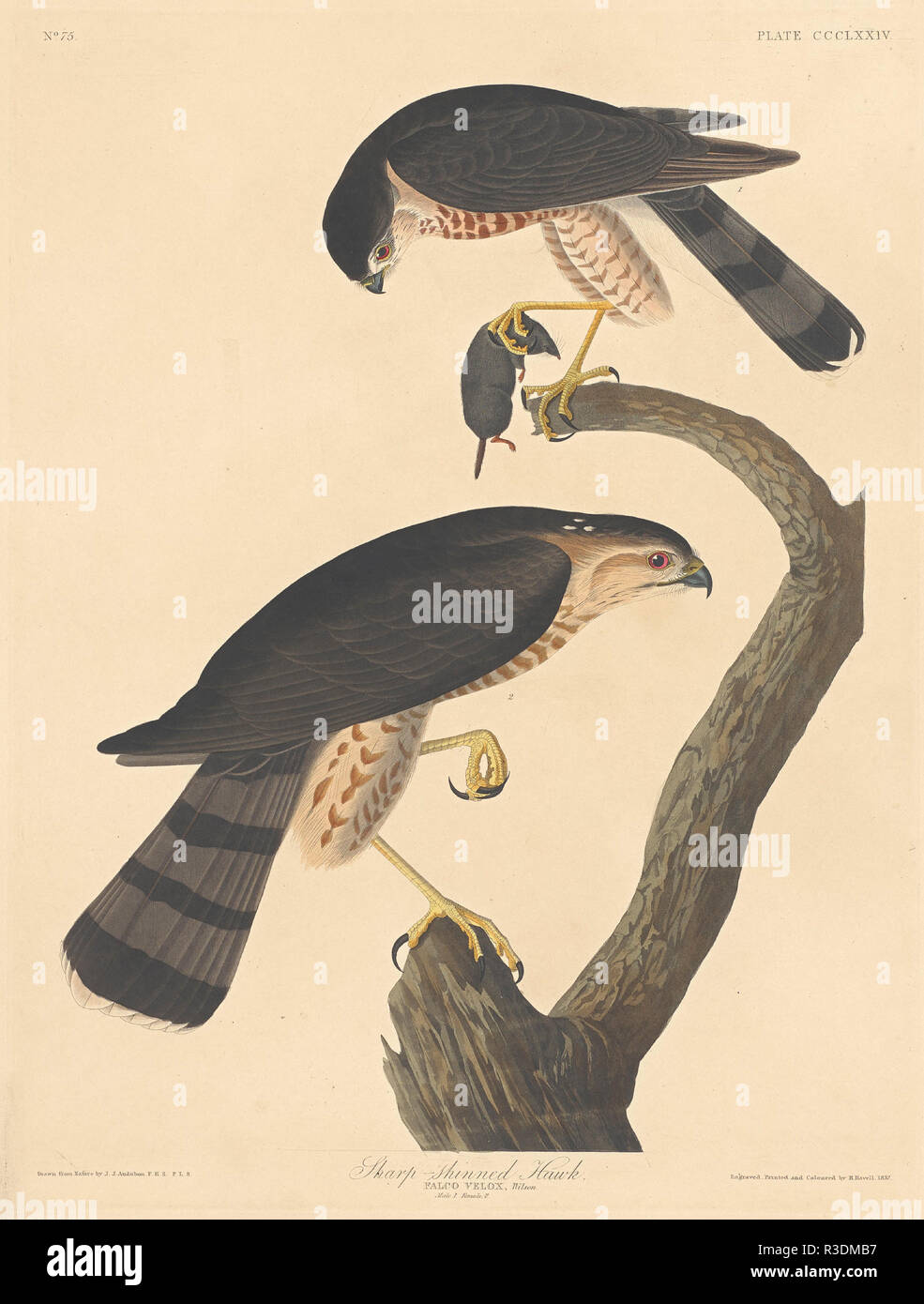 John d sharp hi-res stock photography and images - Alamy