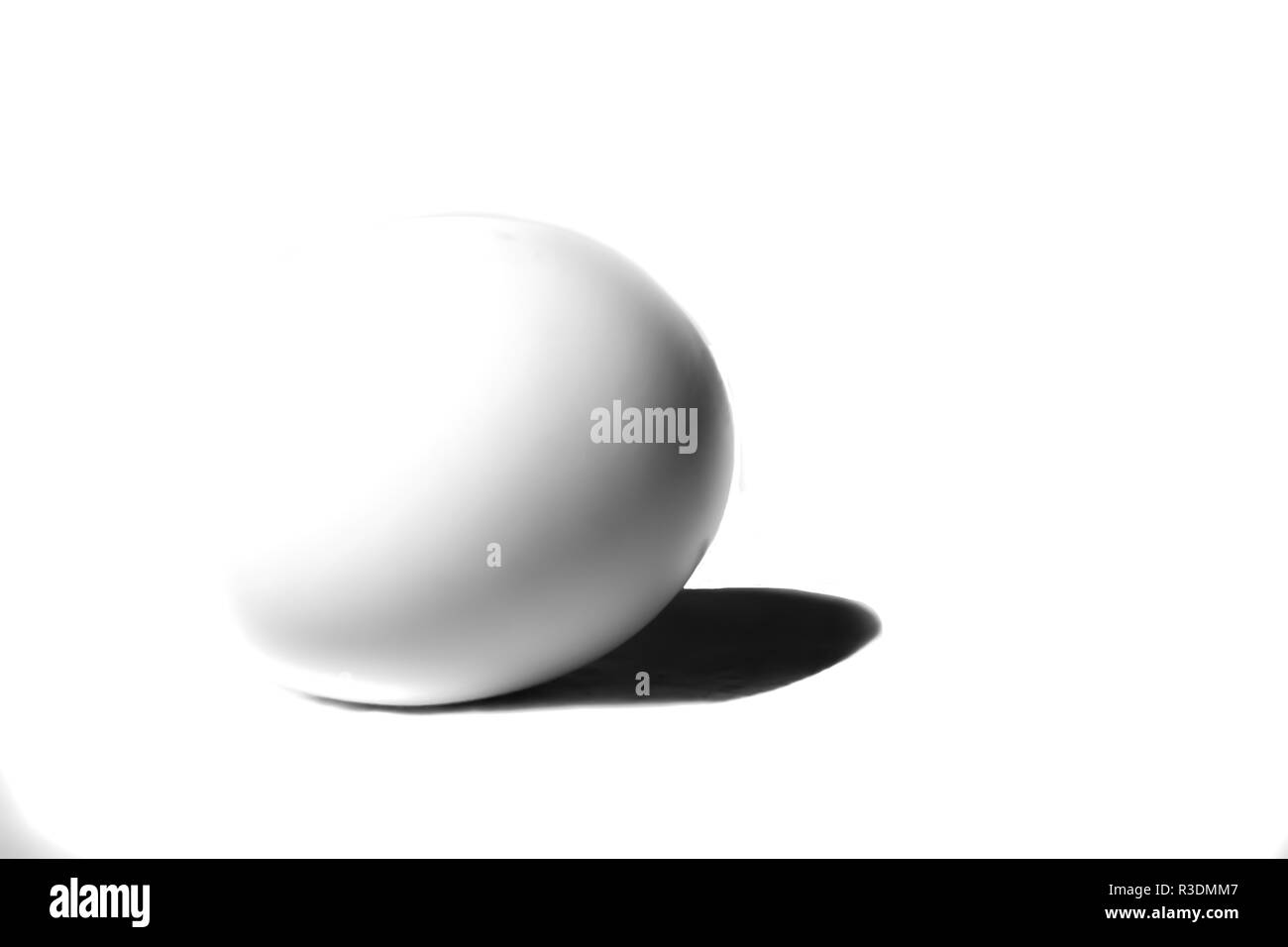 A single white egg on a white background casting a shadow Stock Photo ...