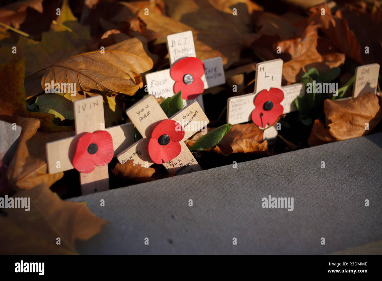 Remembrance Day poppies at the foot of the war memorial. The Promenade ...