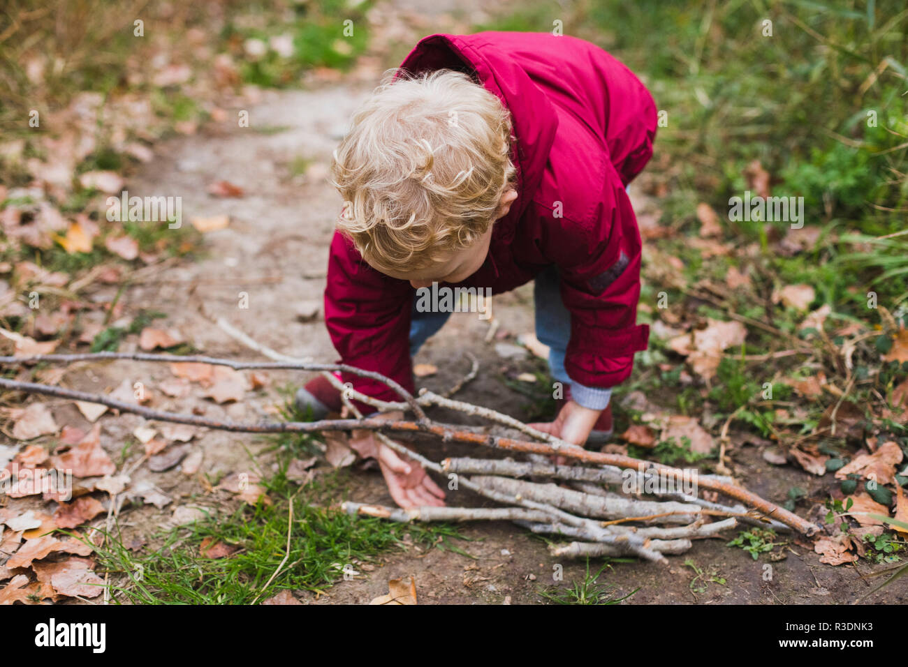 Boy playing with sticks and trunks in the forest and nature Stock Photo ...