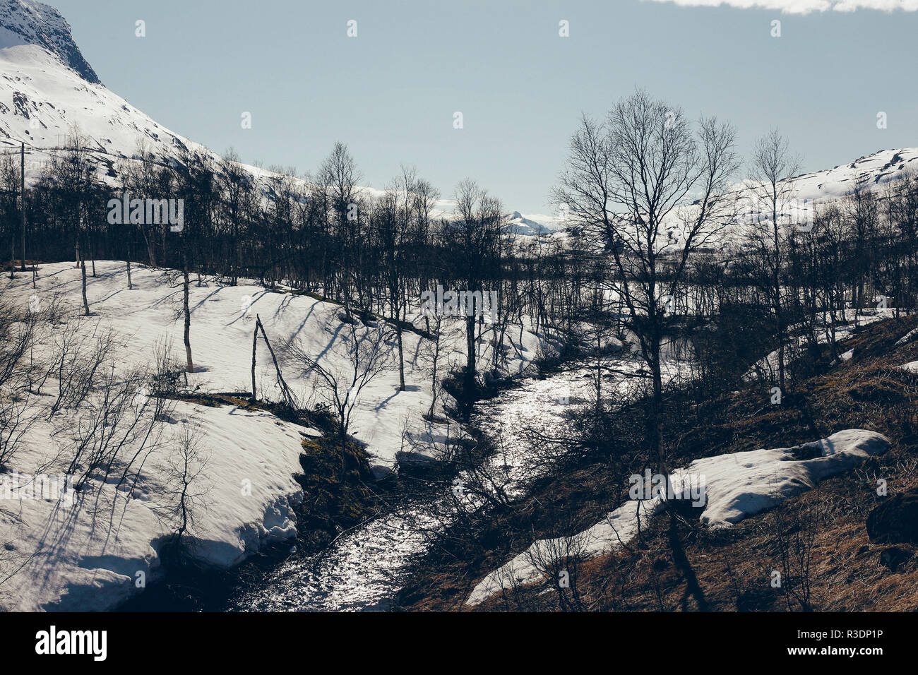 Norwegian landscapes with snow and trees Stock Photo - Alamy
