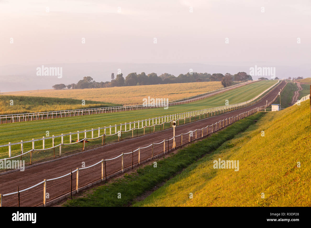 Horse Footprints High Resolution Stock Photography and Images - Alamy