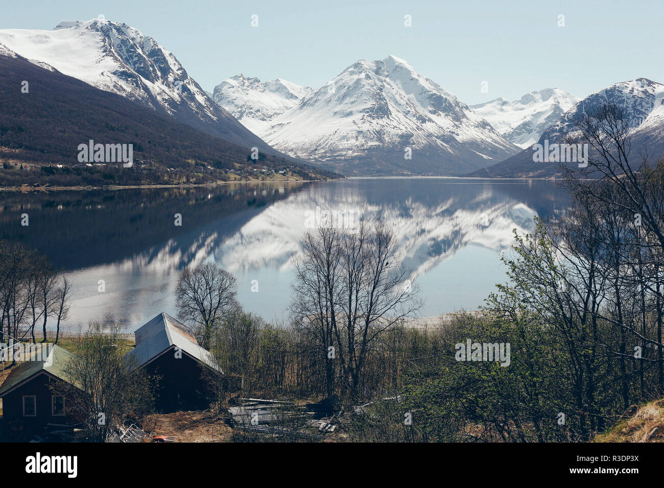 Norwegian landscapes with snow and trees Stock Photo - Alamy