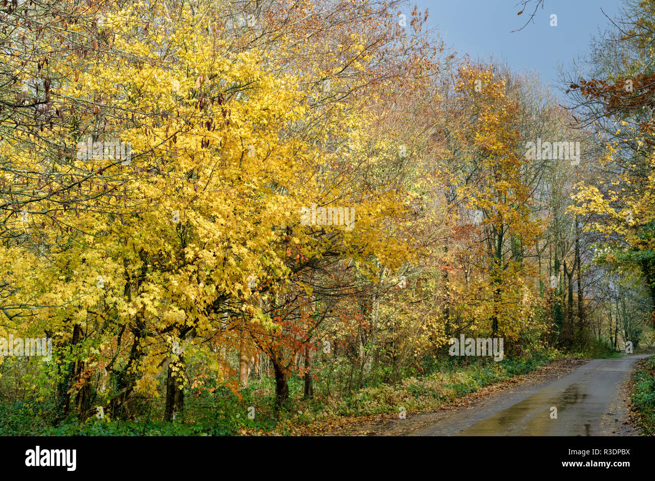 Sutton road hi-res stock photography and images - Alamy