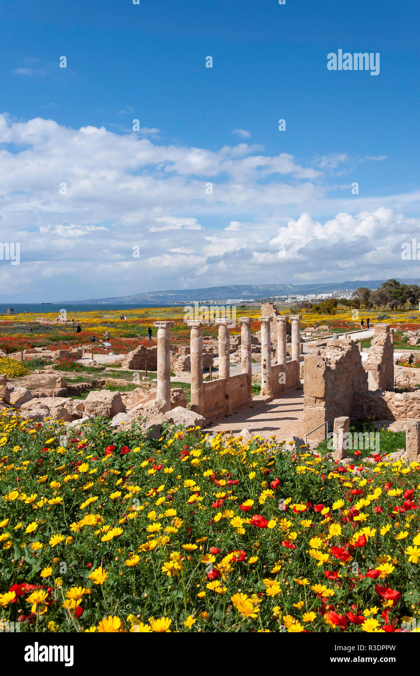 House of Theseus and spring flowers, Archaelogical site of Kato Pafos ...