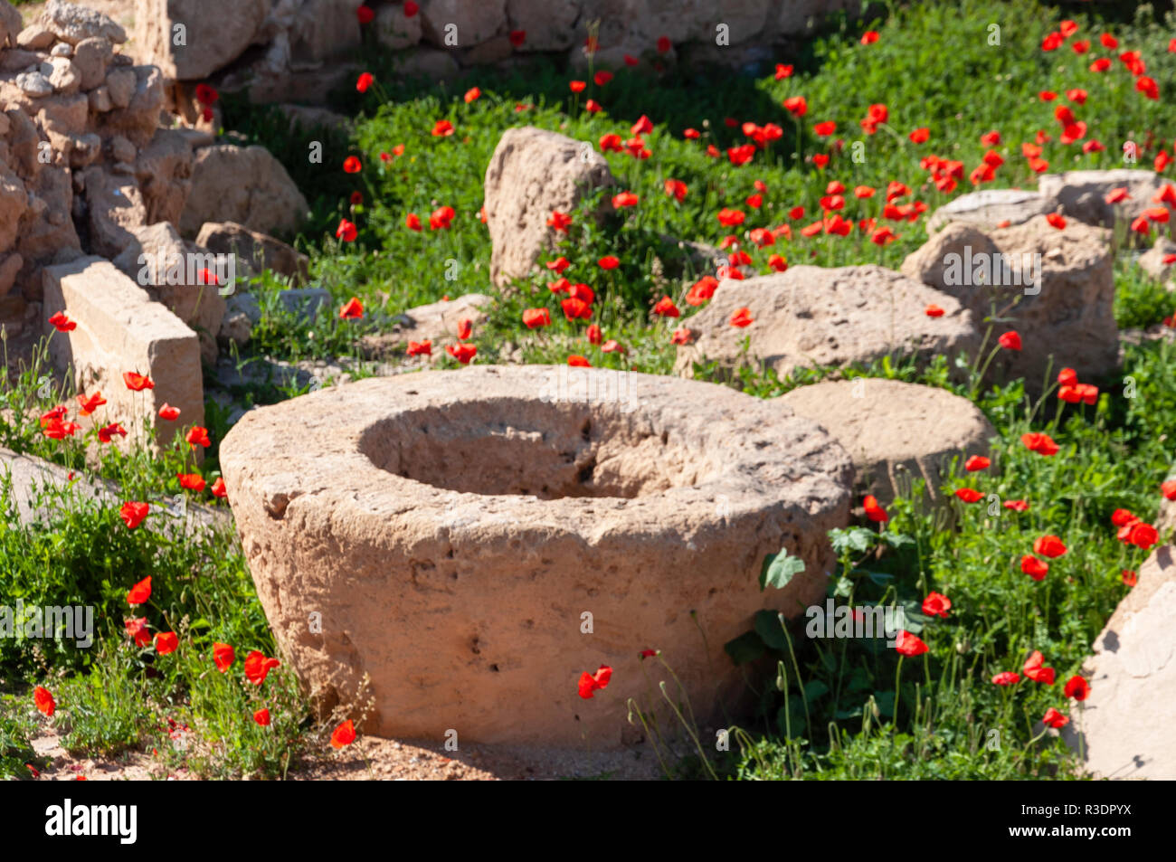 Ancient stone basin at Archaelogical site of Kato Pafos, Paphos (Pafos ...