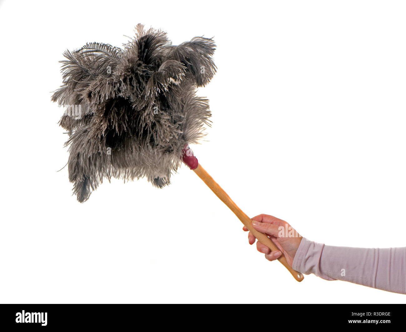 Ostrich feather duster Cut Out Stock Images & Pictures - Alamy