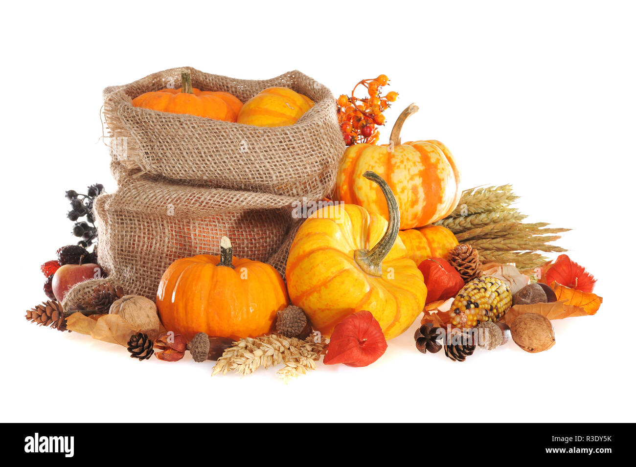 Apples autumn leaves thanksgiving Cut Out Stock Images & Pictures - Alamy