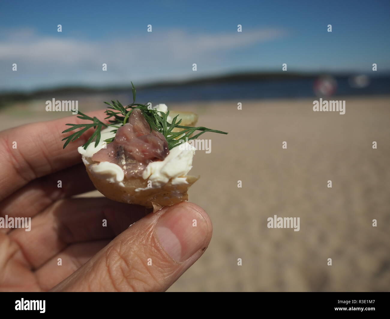 Surströmming sweden hi-res stock photography and images - Alamy