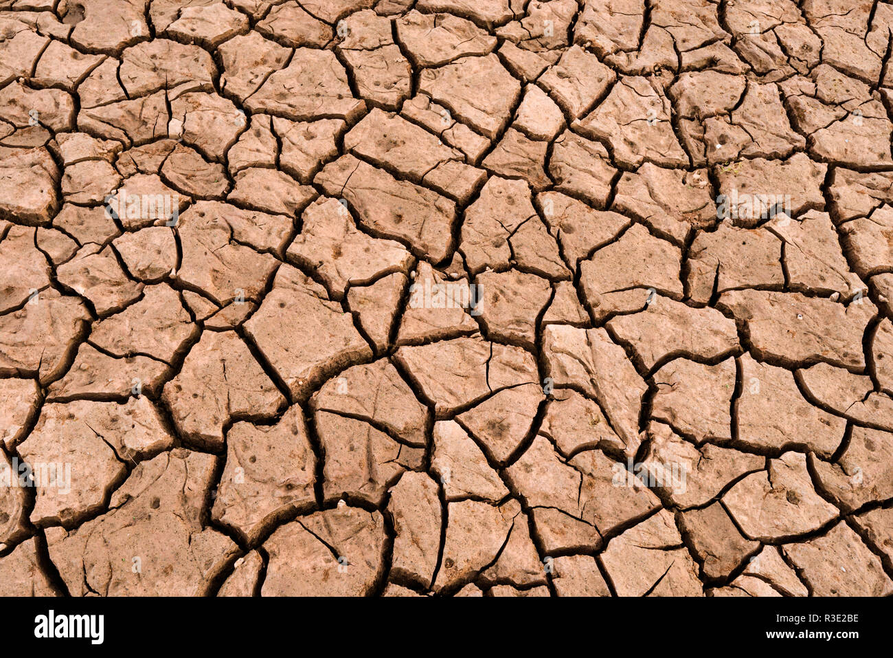 The texture of soil cracking Stock Photo - Alamy