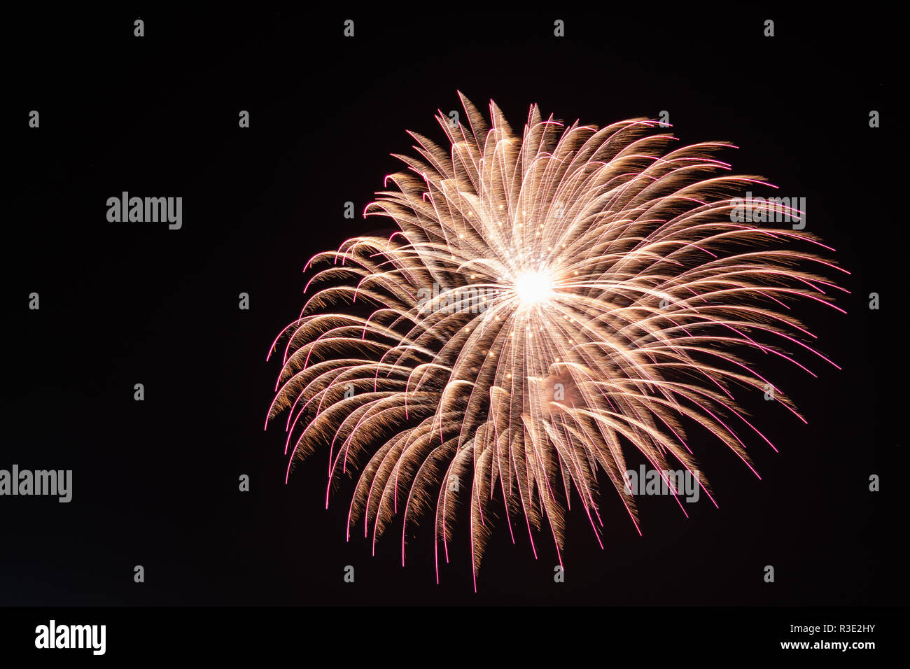 Gold, vilot and white color Fire Works During Feast during the feast of ...
