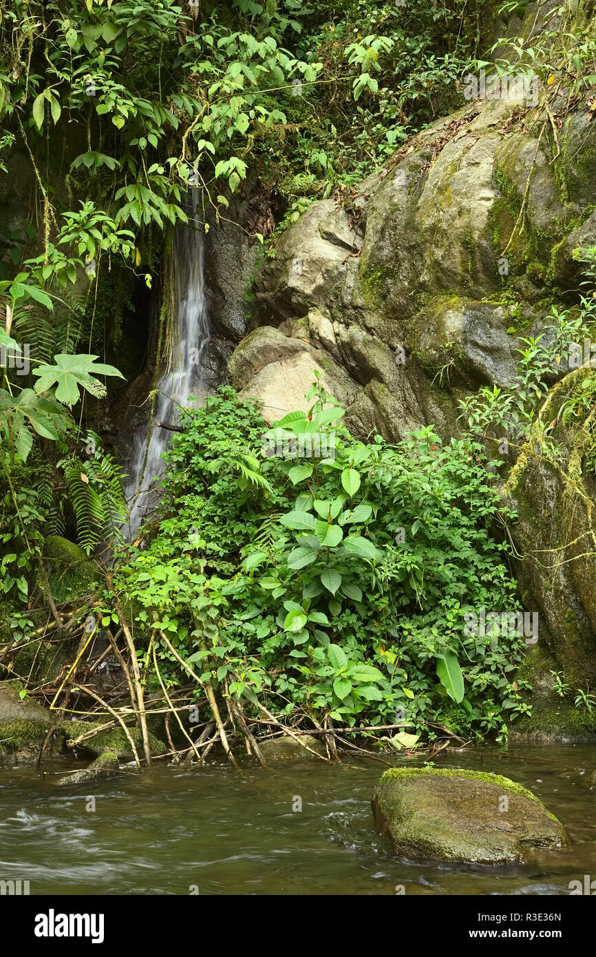 Chute pond hi-res stock photography and images - Alamy