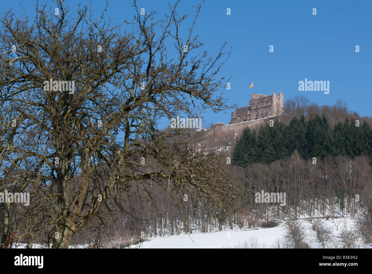 Burgruine Hohengeroldseck High Resolution Stock Photography and Images ...