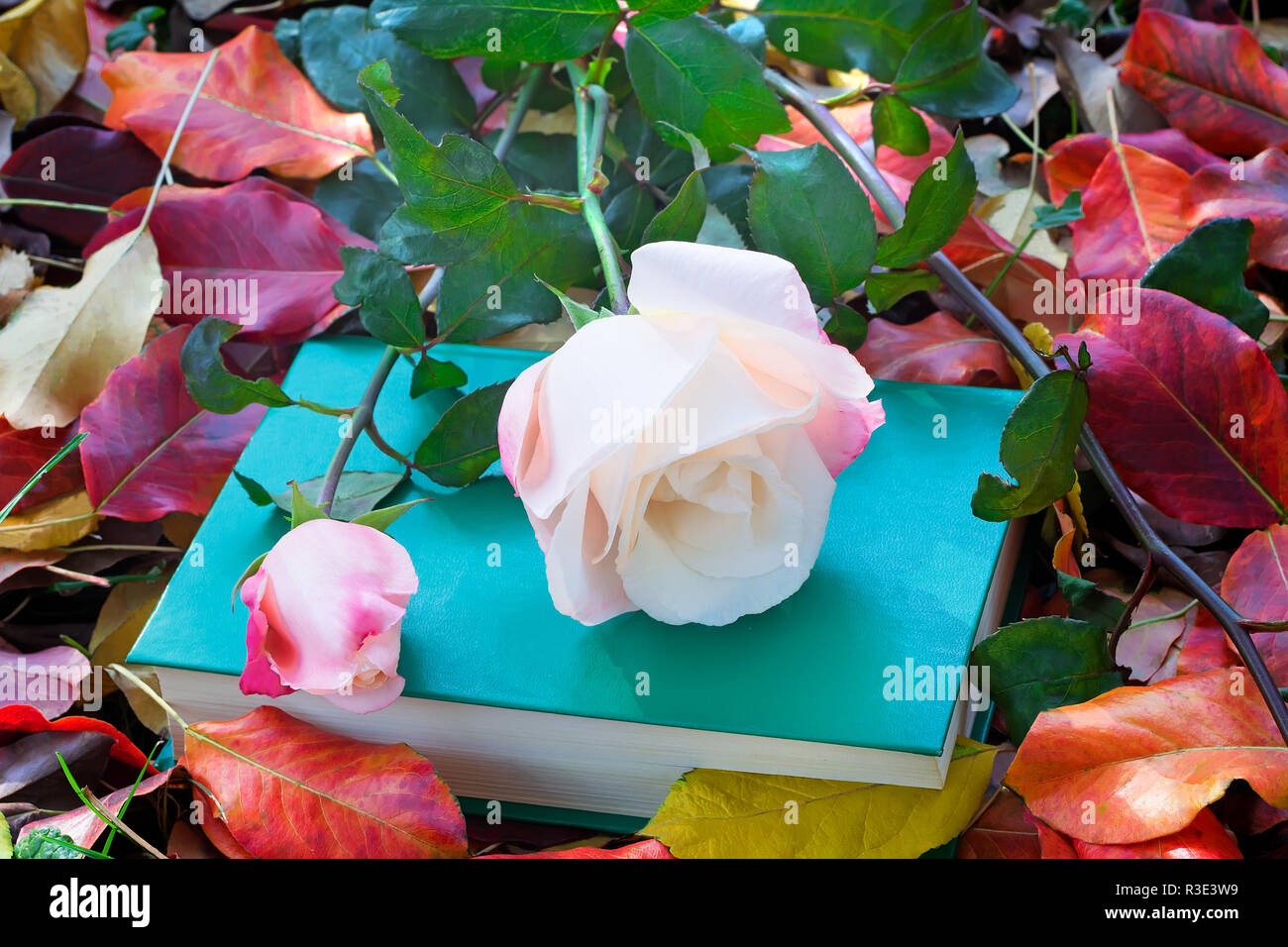 This is your life big red book hi-res stock photography and images - Alamy