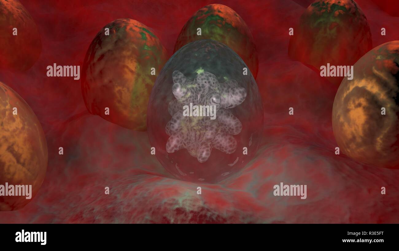 Alien eggs in mist. 3d render Stock Photo - Alamy