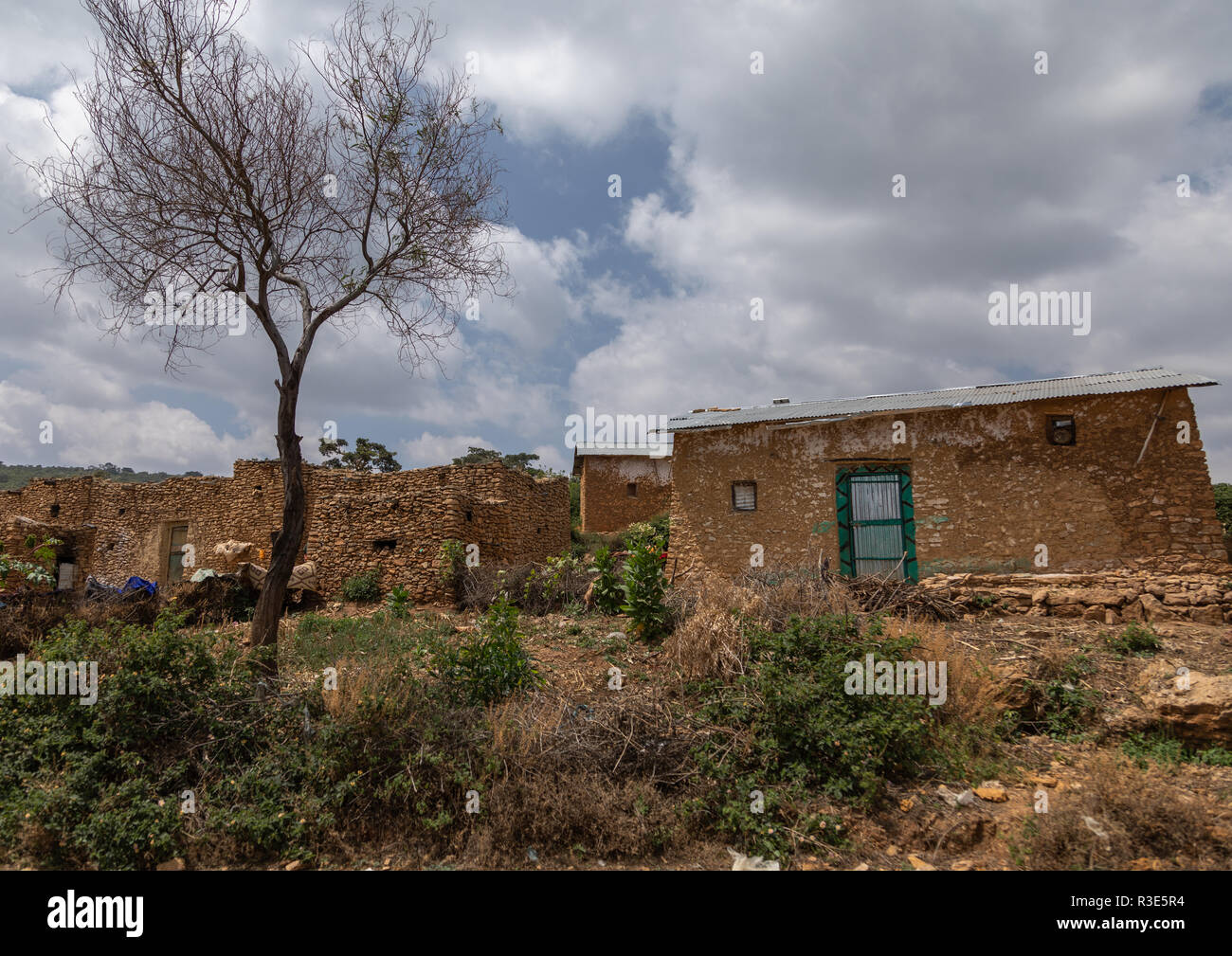Traditional argoba stone houses village, Harari Region, Koremi ...