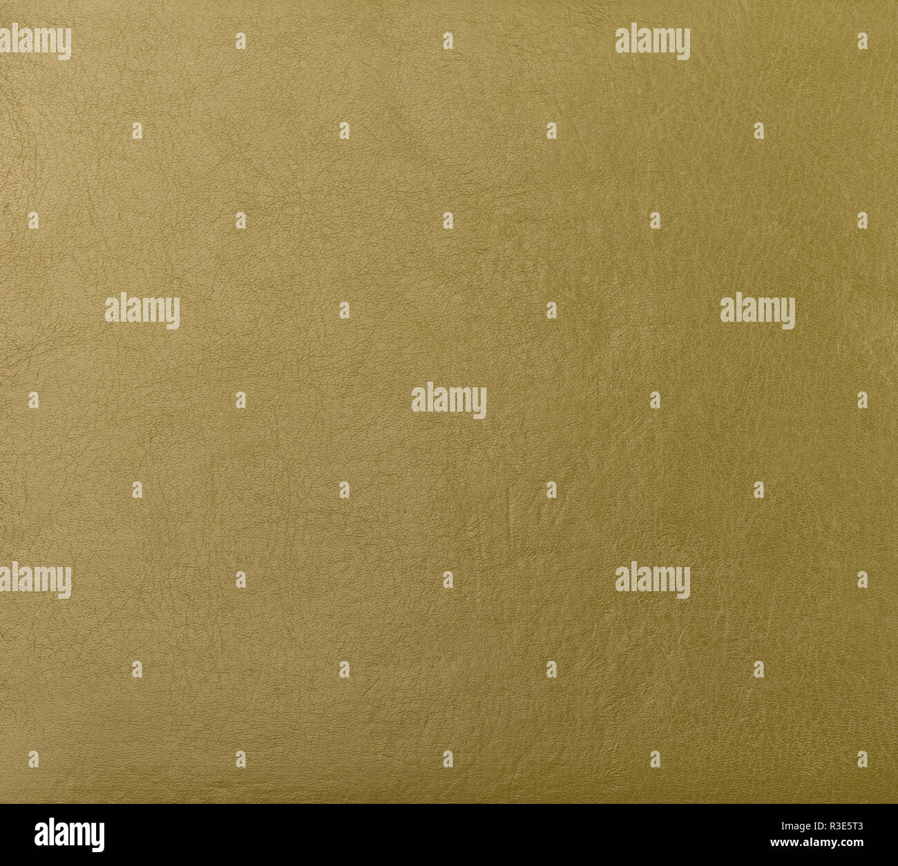 Green leather surface as a background, skin texture. Skin textur Stock ...