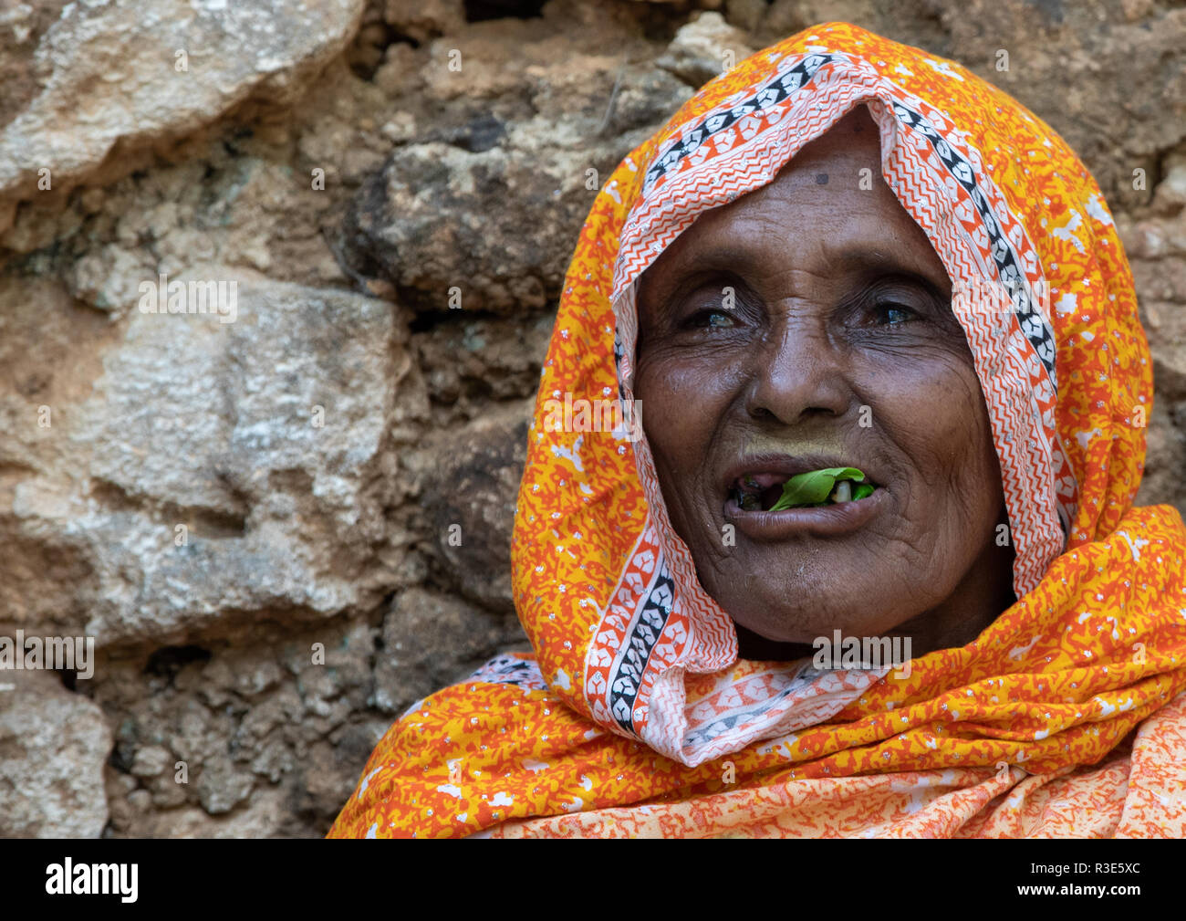 Old harari woman chewing khat during a sufi ceremony, Harari Region ...