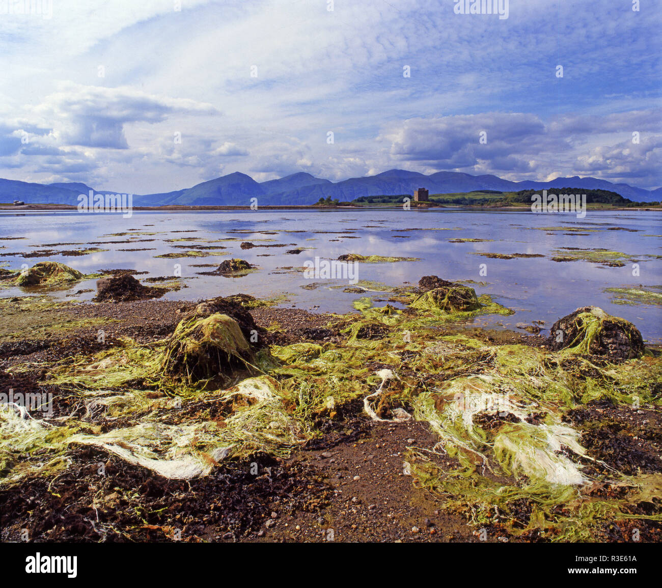 Castle Stalker, Appin, Argyll Stock Photo - Alamy